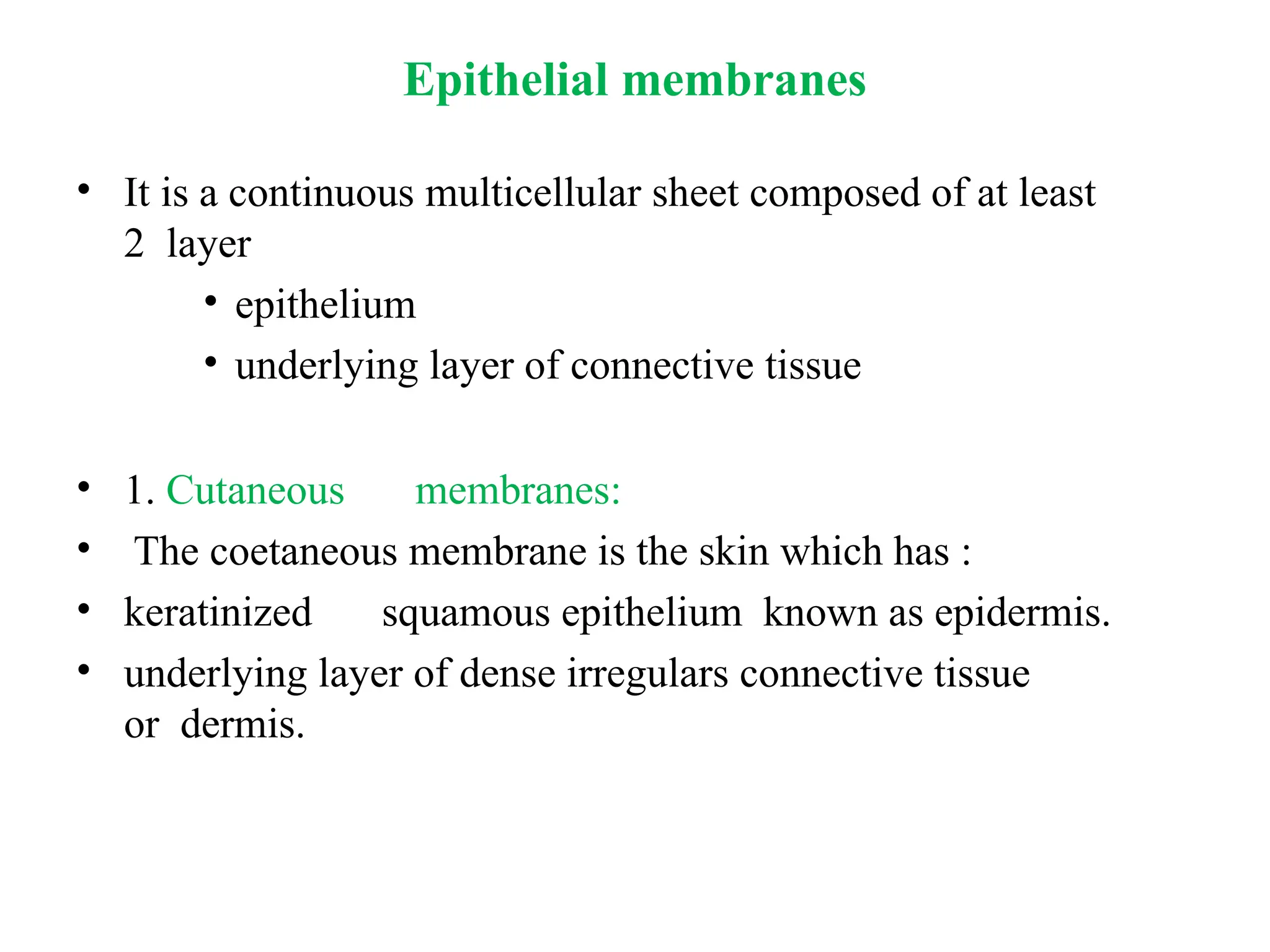 The Tissues: Building Blocks of the Human Body | PPTX