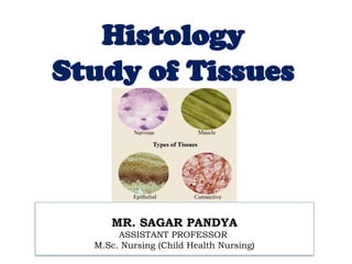 The Tissues: Building Blocks of the Human Body | PPTX