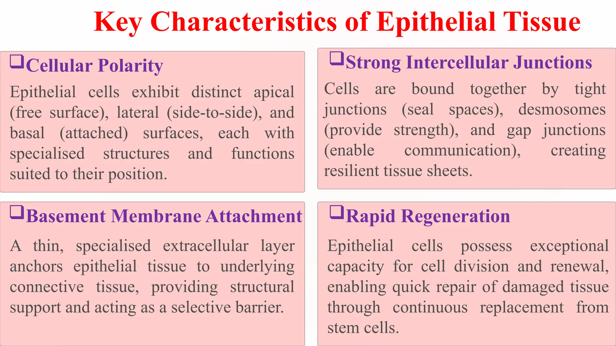Details of Epithelial and Connective Tissue.pptx