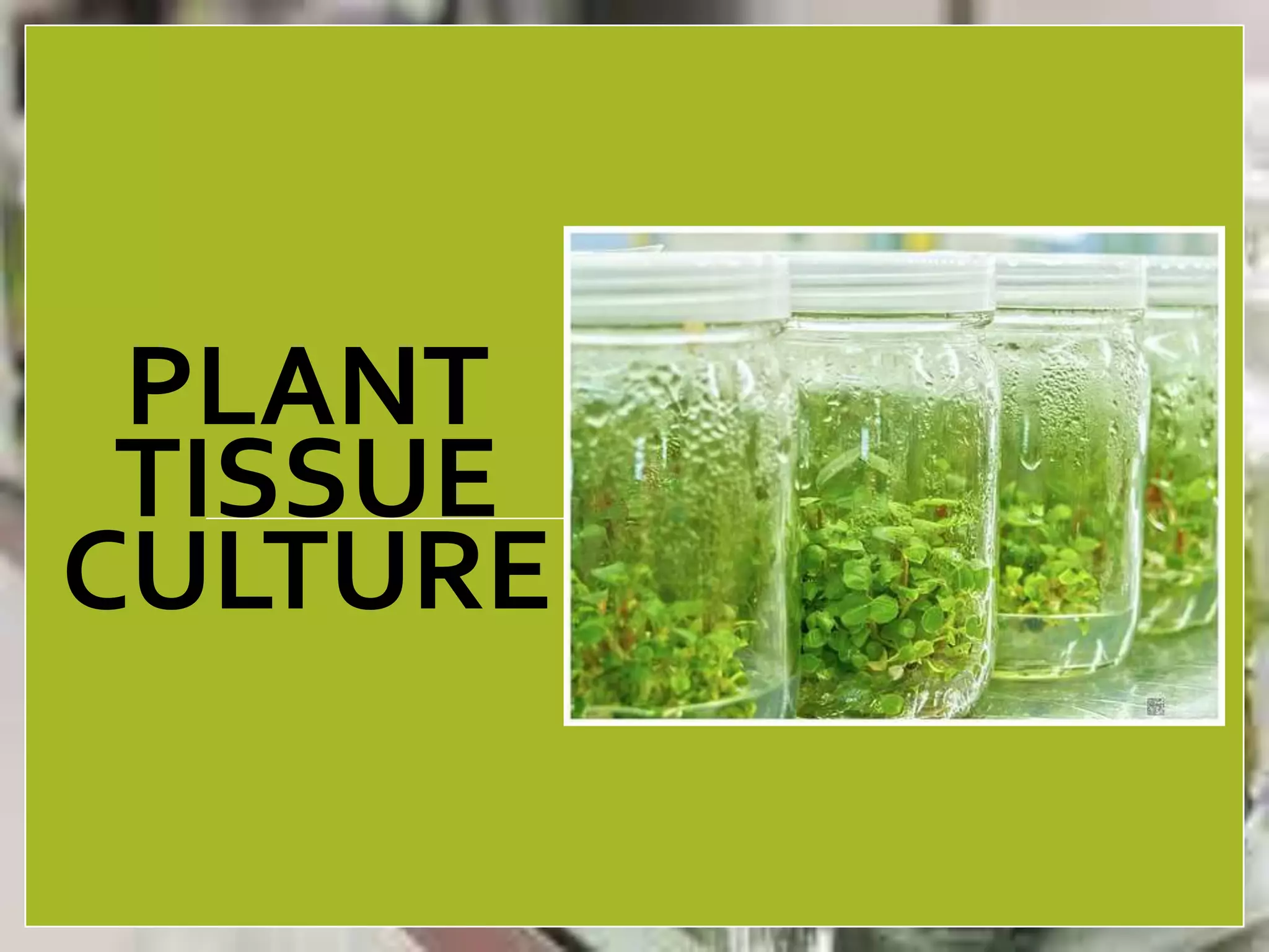 TISSUE-CULTURE.pptx
