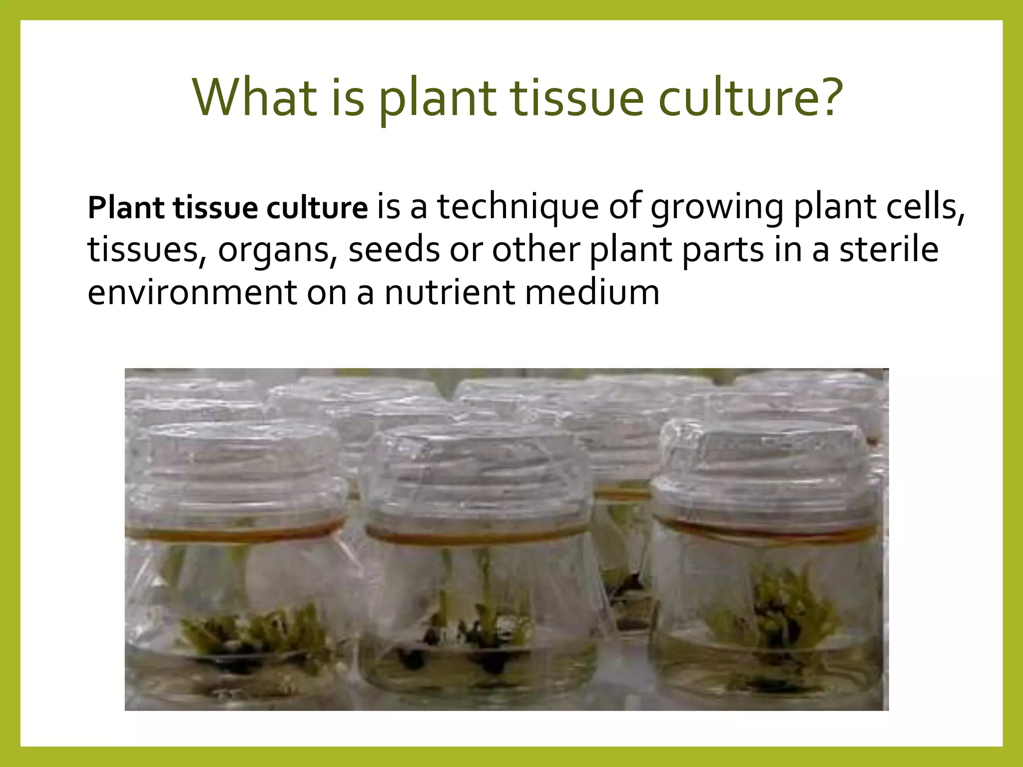 TISSUE-CULTURE.pptx