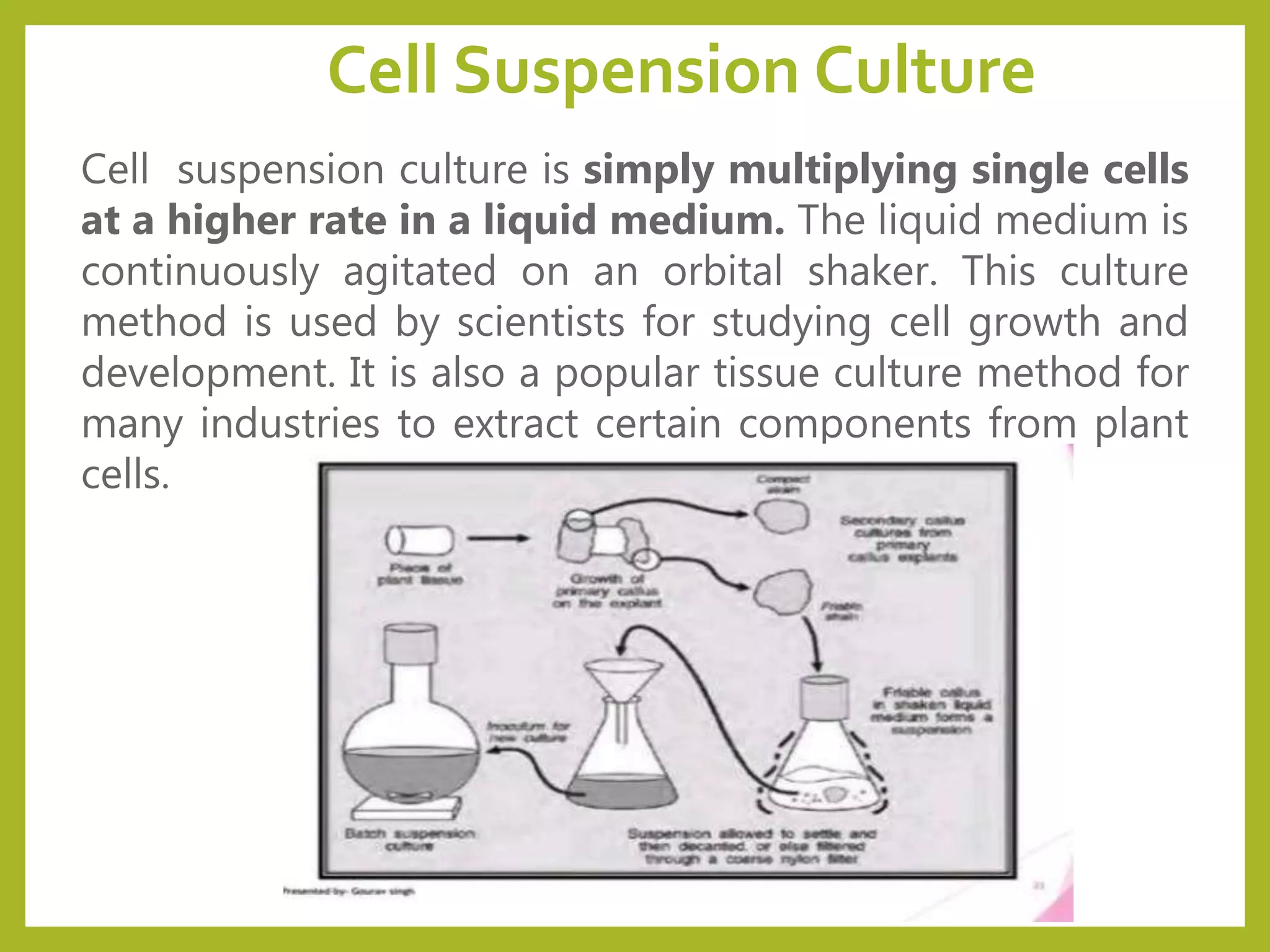 TISSUE-CULTURE.pptx