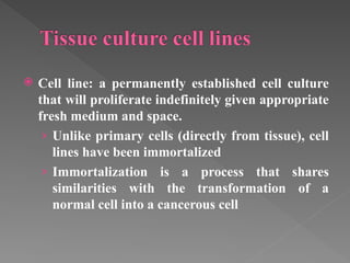 tissue-culture-applications and cell culture.ppt