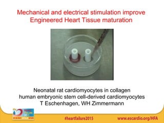 Tissue engineering in heart and valve failure management. | PDF