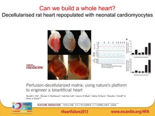 Tissue engineering in heart and valve failure management. | PDF