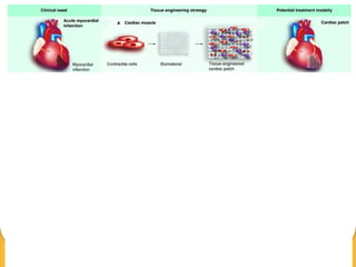 Tissue engineering in heart and valve failure management. | PDF