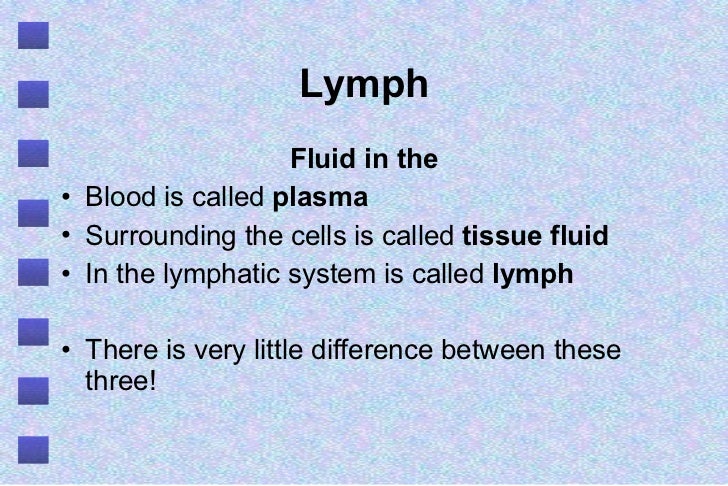 Tissue Fluid And Lymph