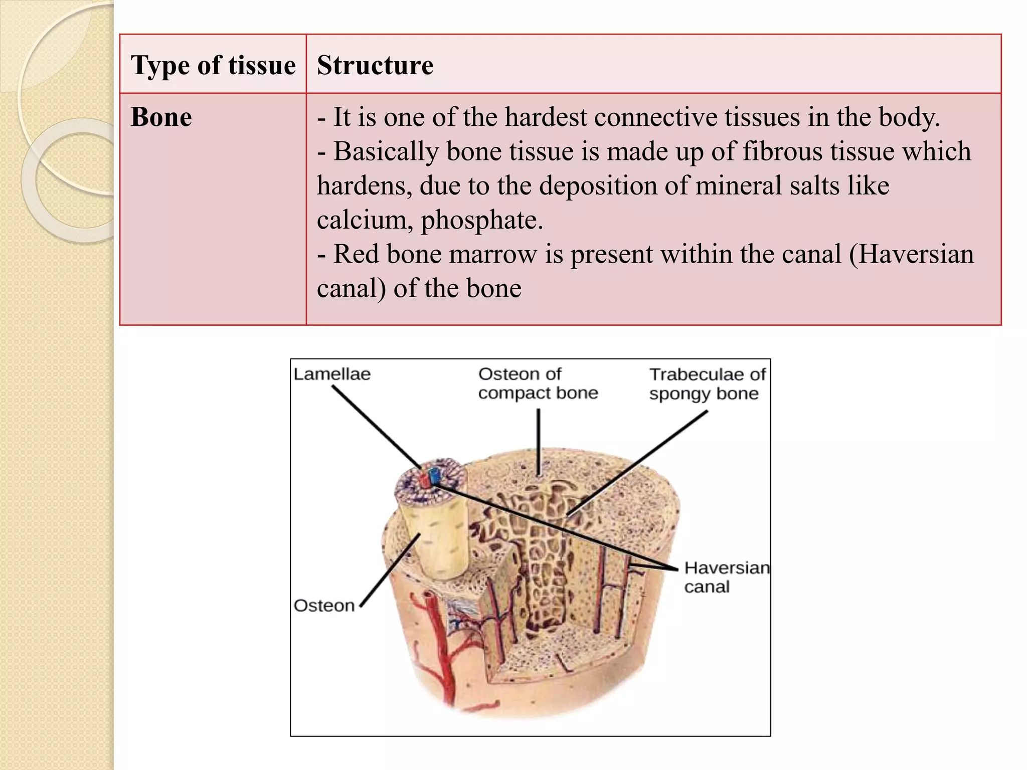 Tissue HAP | PPTX