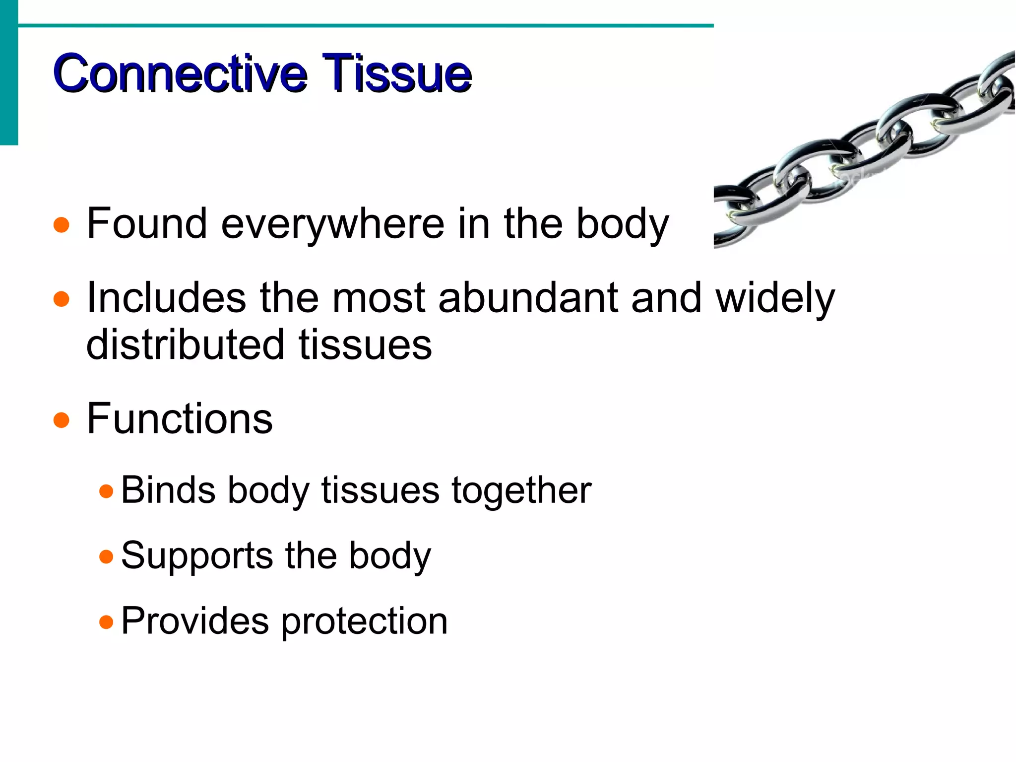 Human Anatomy & Physiology - TISSUE | PDF
