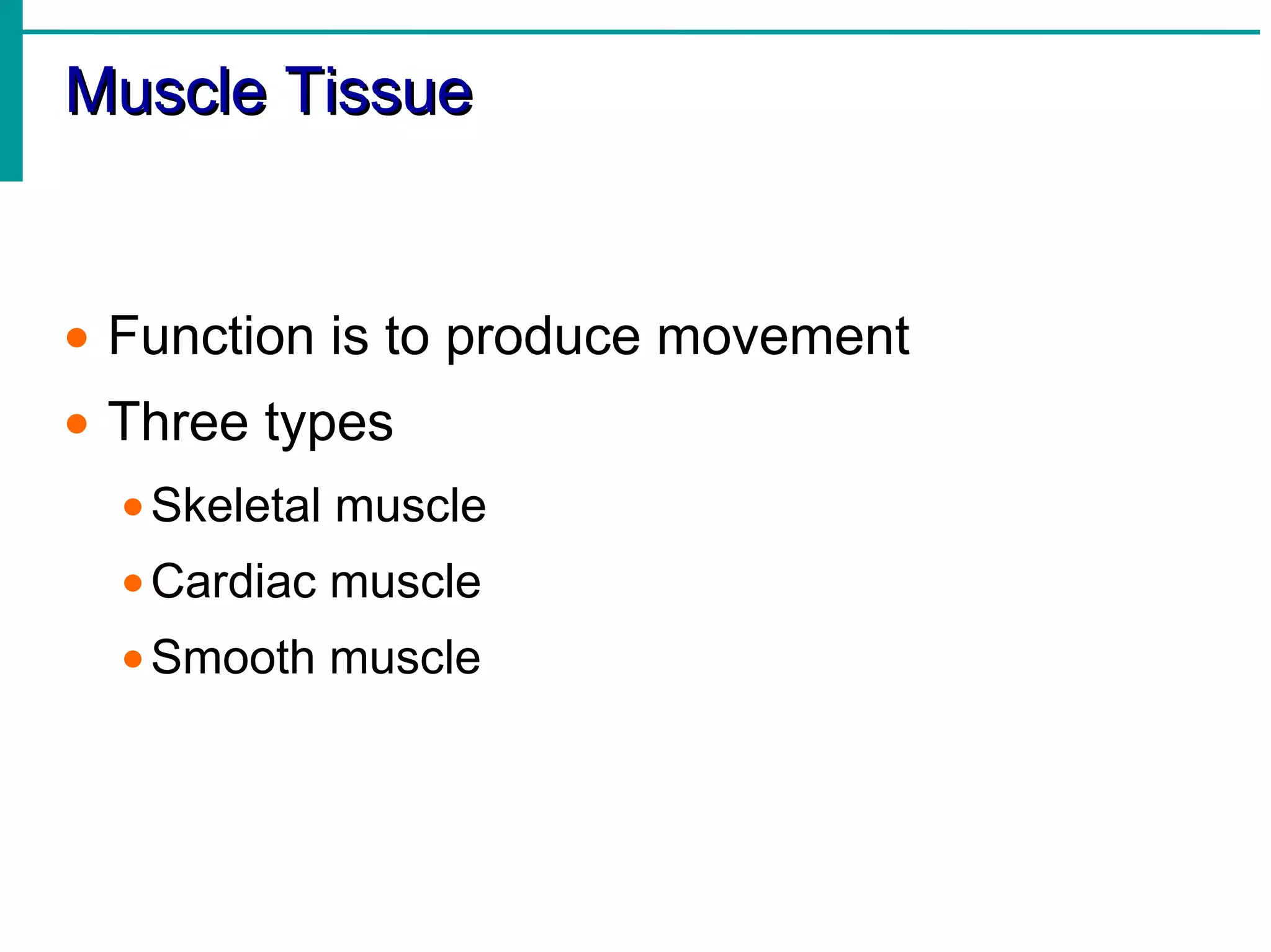 Human Anatomy & Physiology - TISSUE | PDF