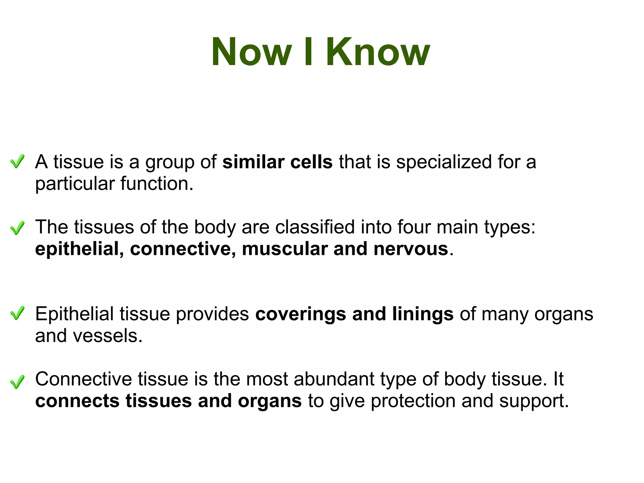 Human Anatomy & Physiology - TISSUE | PDF