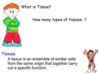 Human Anatomy & Physiology - TISSUE | PDF