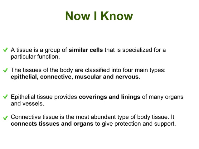 Human Anatomy & Physiology - TISSUE | PPT