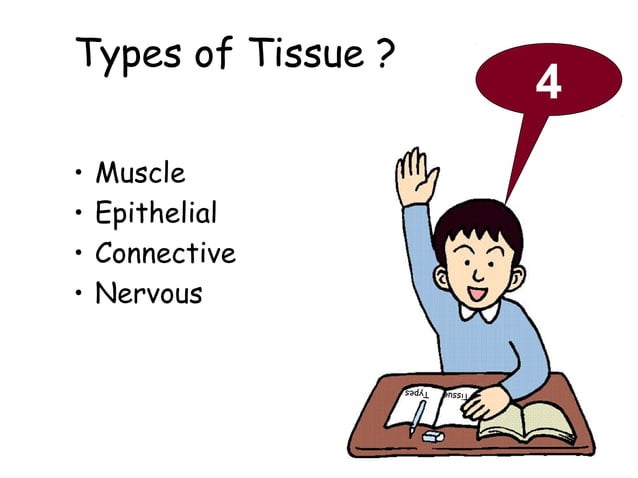 Human Anatomy & Physiology - TISSUE | PPT