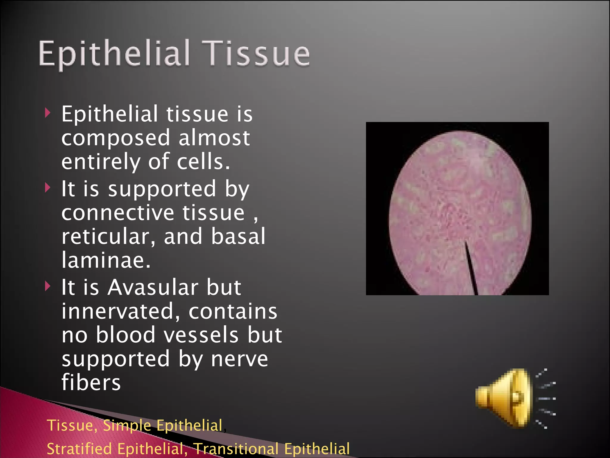 Tissue Powerpoint. | PPT