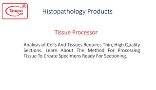 Tissue Processor Products - Yorco