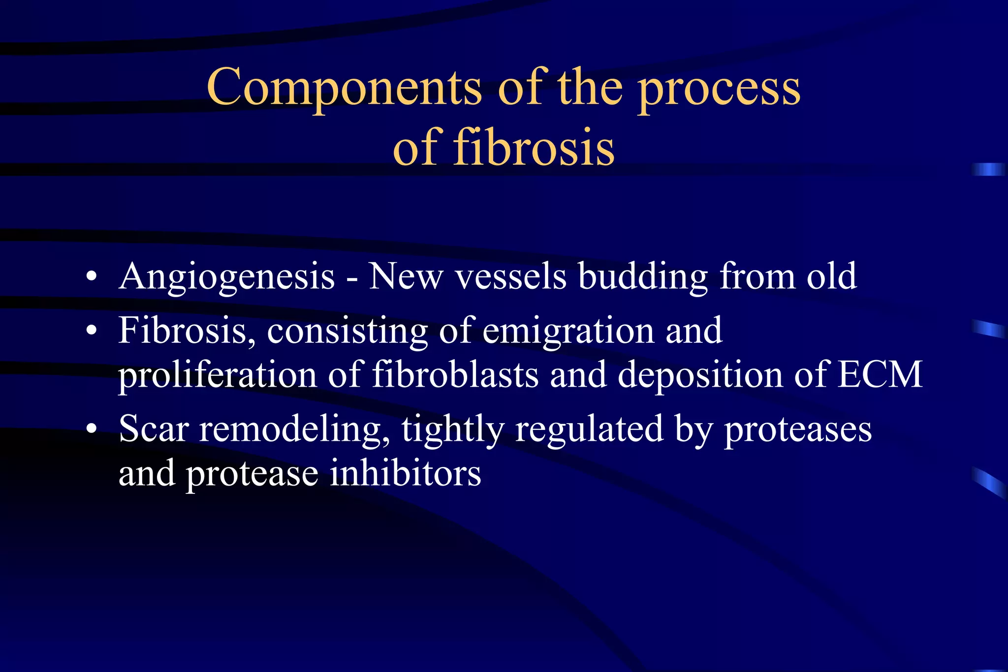 Tissue Repair | PPT