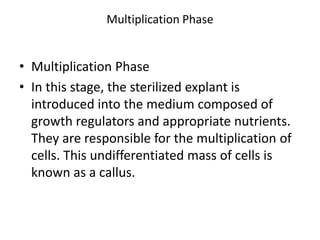 Tissue- Slide by Dr. VKT.pptx