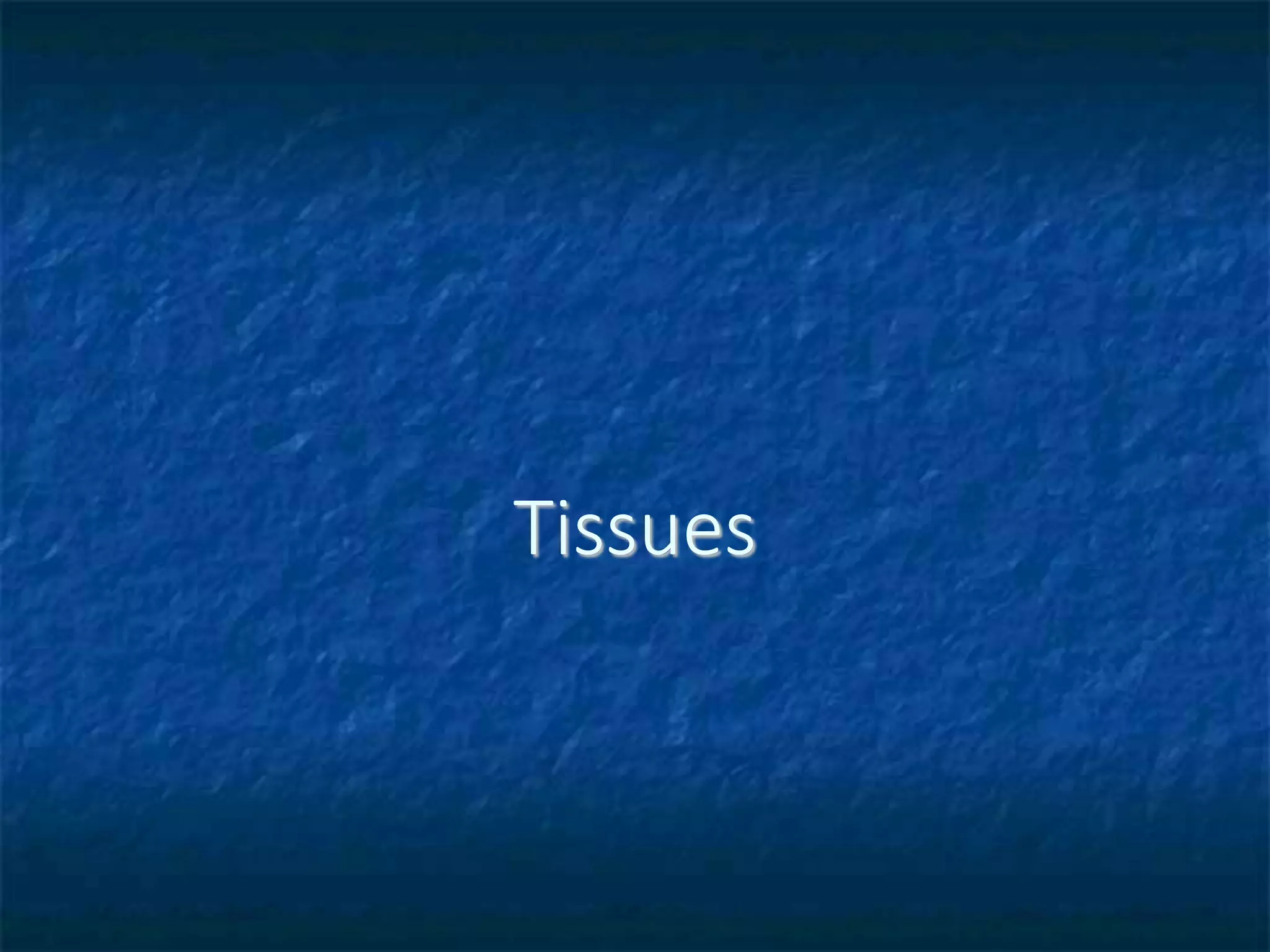Tissue 1 Pptx