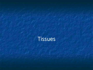 Tissue 1 Pptx