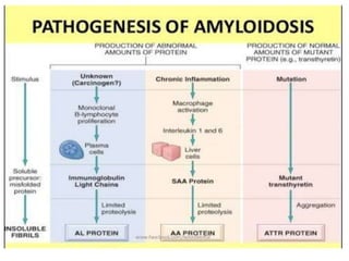 Tissue accumulation | PPT