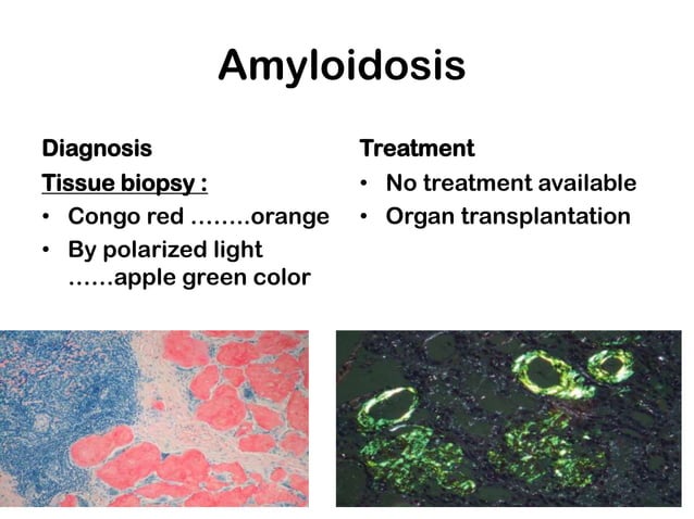 Tissue accumulation | PDF