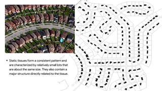 Tissue Analysis - Urban Design - Architecture | PDF