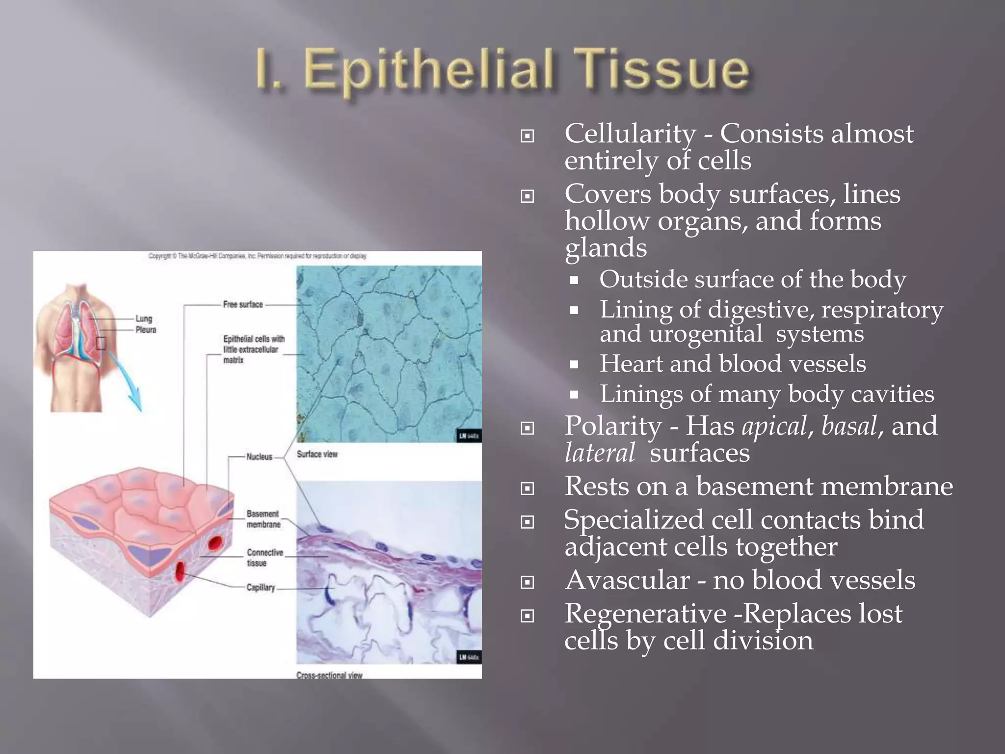tissue and histology.pptx