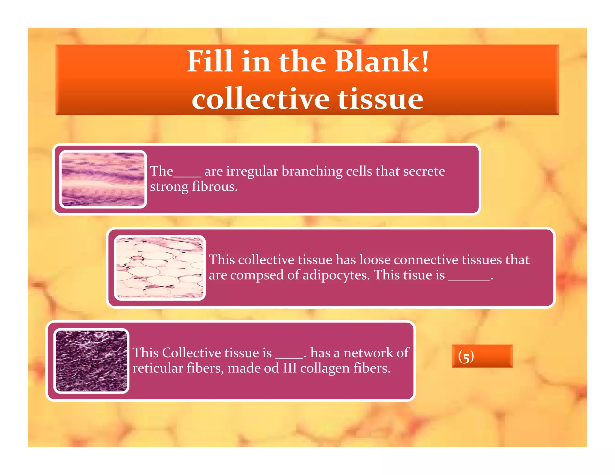 Tissue Artifact Pdf
