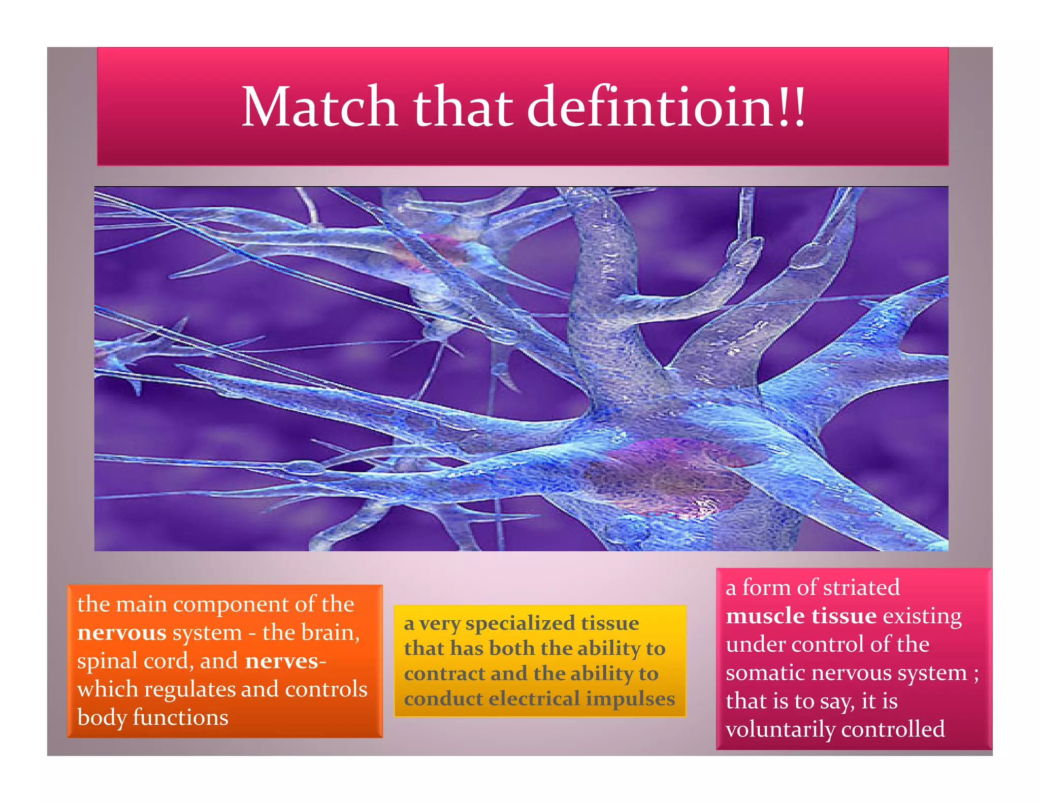 Tissue artifact | PDF