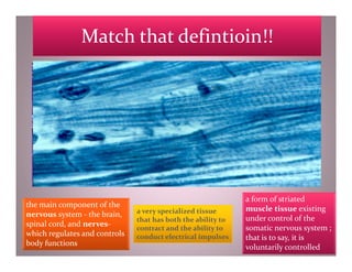 Tissue artifact | PDF