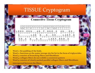 Tissue artifact | PDF