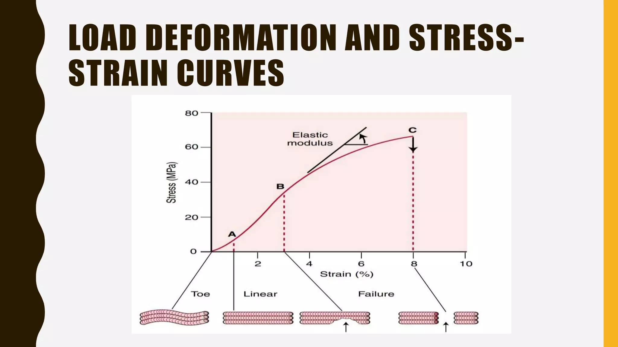 Tissue biomechanics | PPTX