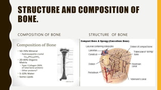 Tissue biomechanics | PPTX