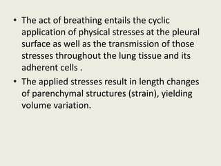 Tissue biomechanics in lung diseases | PPTX