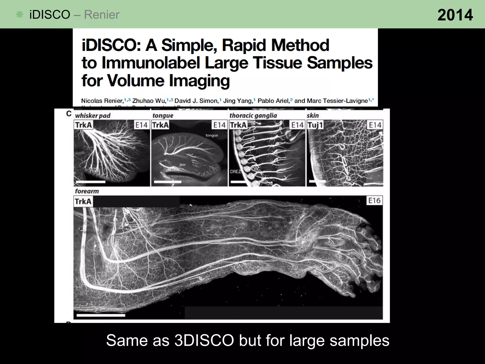 Tissue clearing - Field Overview | PPTX
