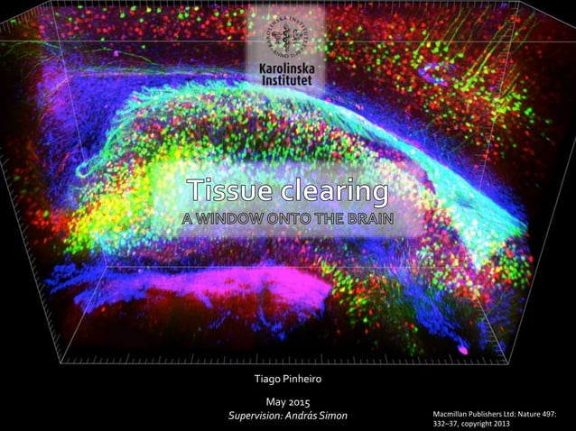 Tissue clearing - Field Overview | PPTX