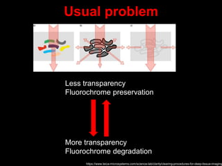 Tissue clearing - Field Overview | PPTX