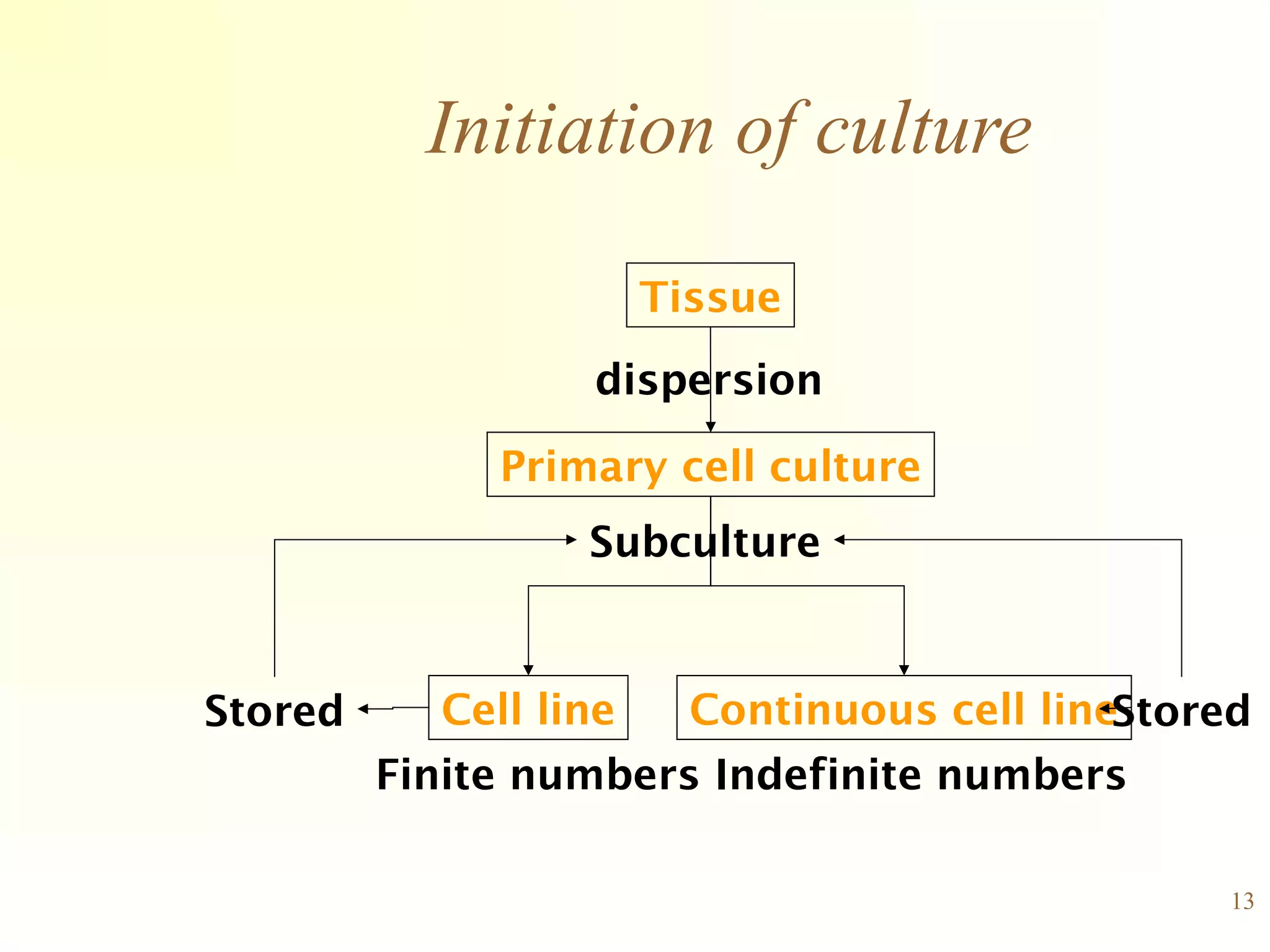 Tissue culture.ppt1 2 | PPT