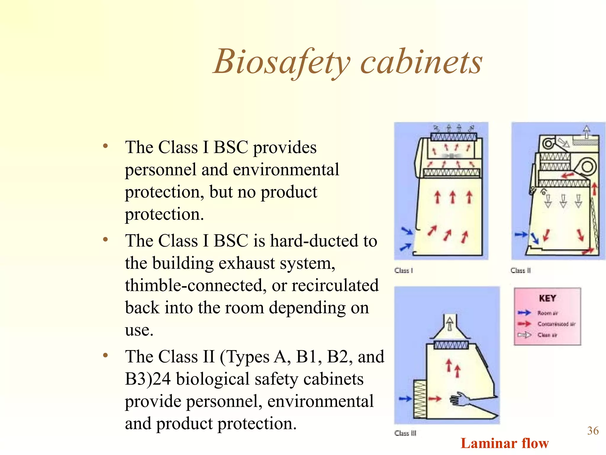 Tissue culture.ppt1 2 | PPT