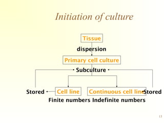 Tissue culture.ppt1 2 | PPT