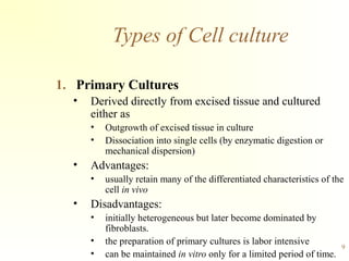 Tissue culture.ppt1 2 | PPT