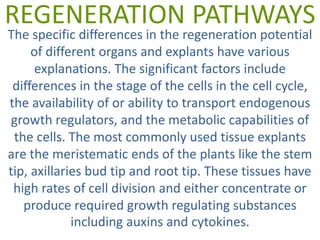 PPT on Tissue Culture Class 10 CBSE Text Book NCERT. | PPTX