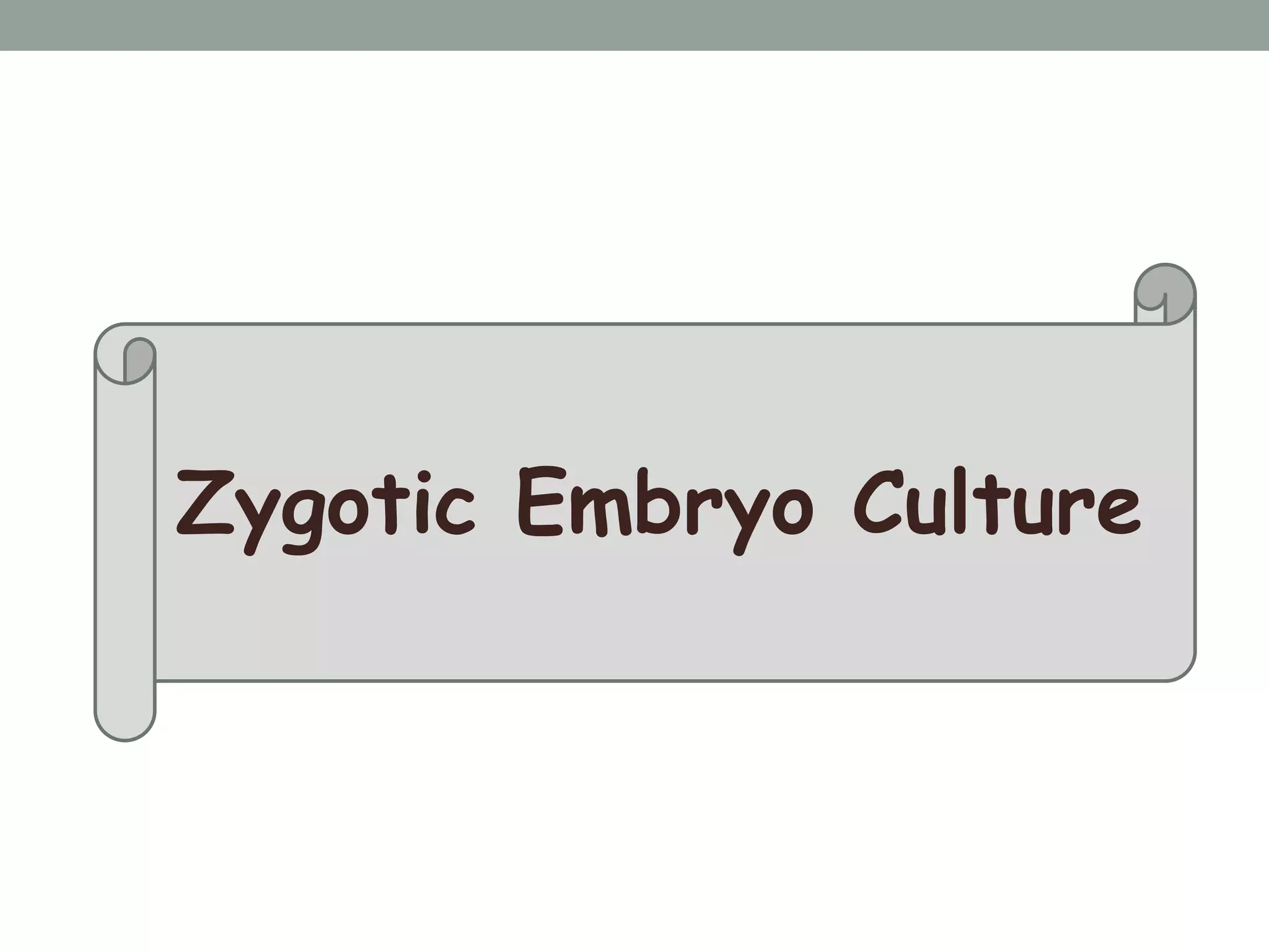 Zygotic Embryo culture | PPTX