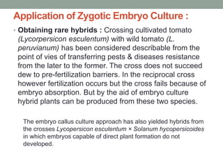 Zygotic Embryo culture | PPTX