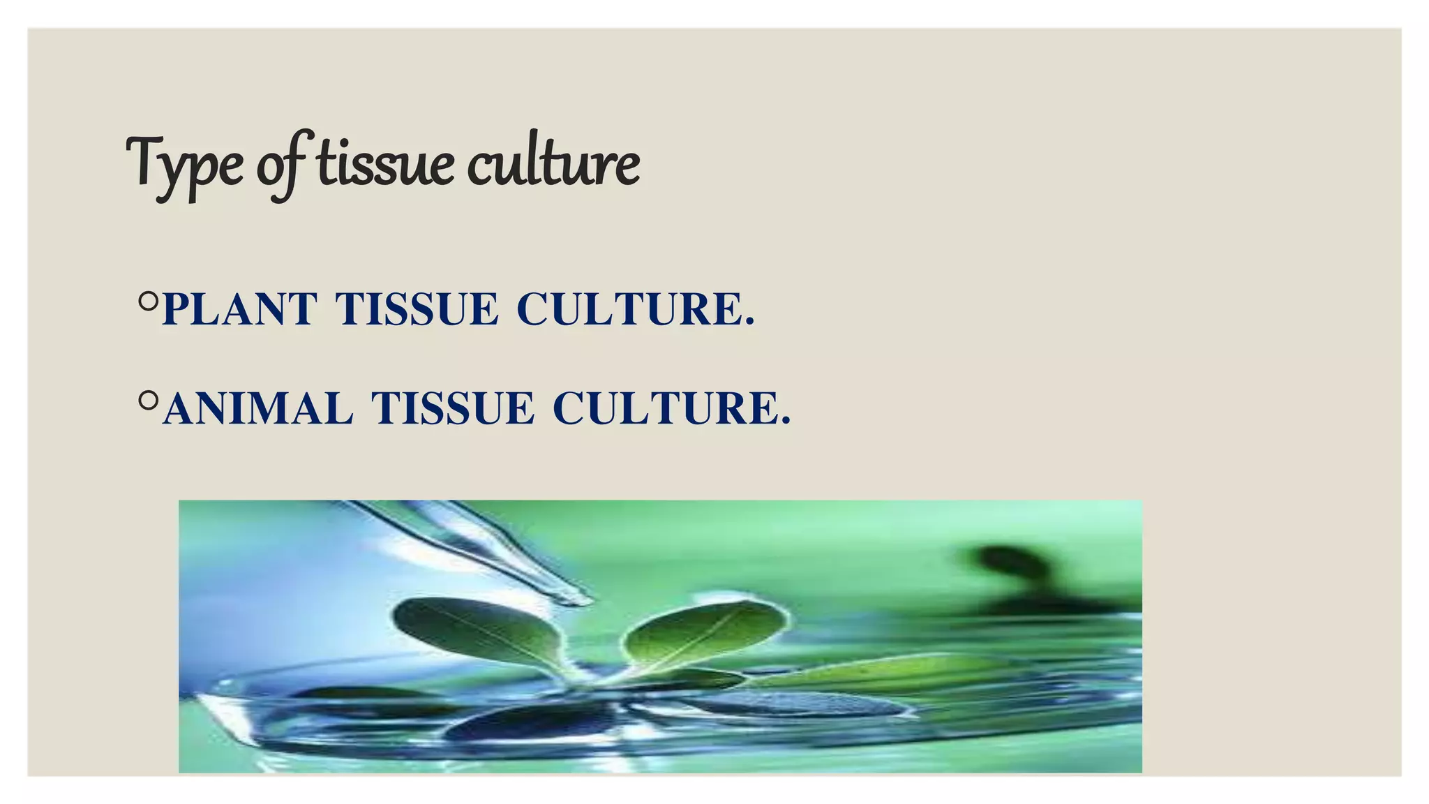 Tissue culture | PPTX