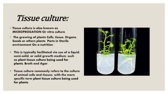Tissue culture | PPT