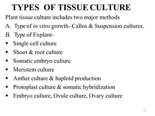 tissue culture.pptx