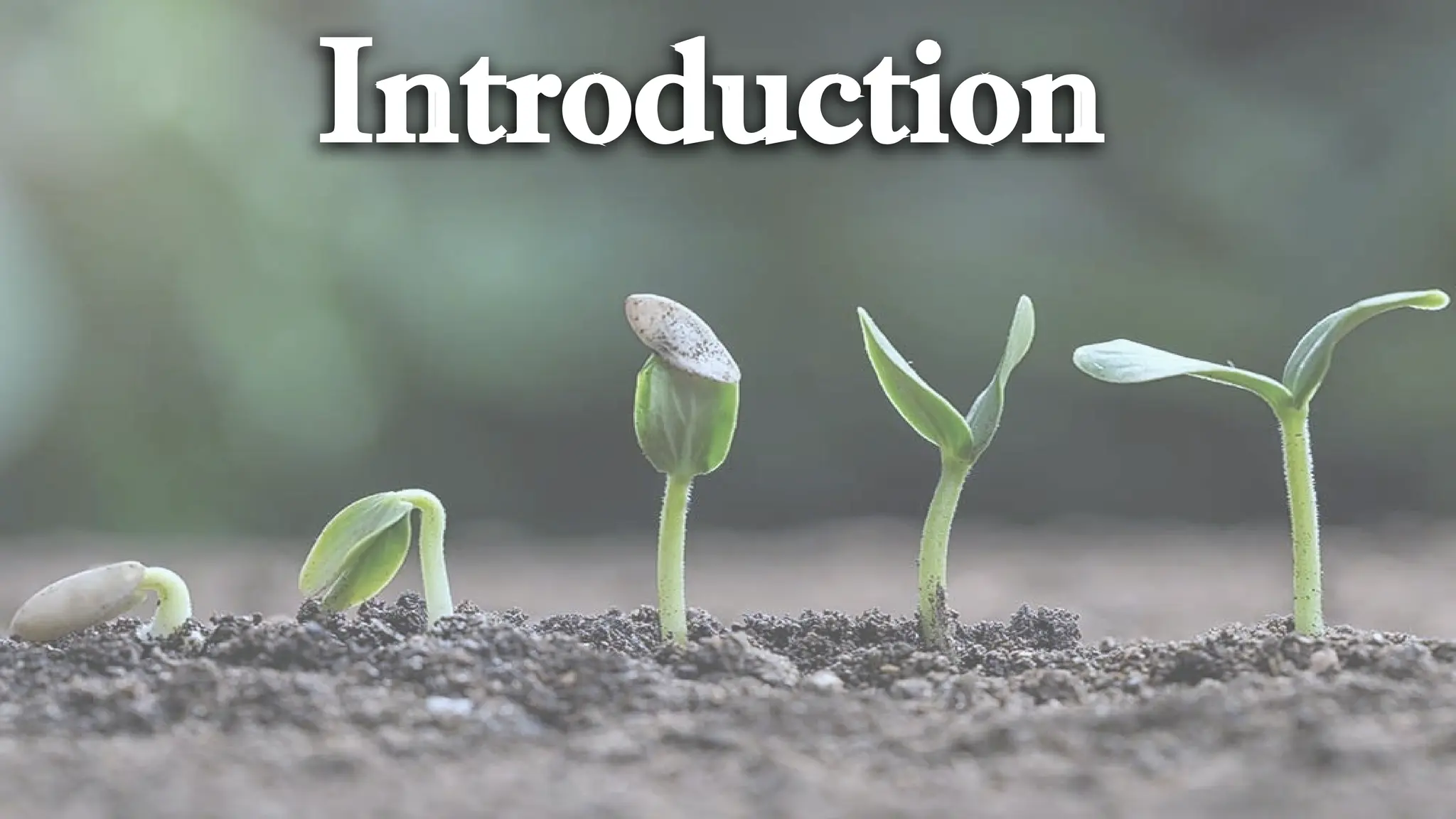 GERMPLASM PRESERVATION VIA TISSUE CULTURE AND IT'S METHODOLOGY | PPT