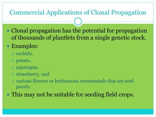 Tissue culture | PPTX